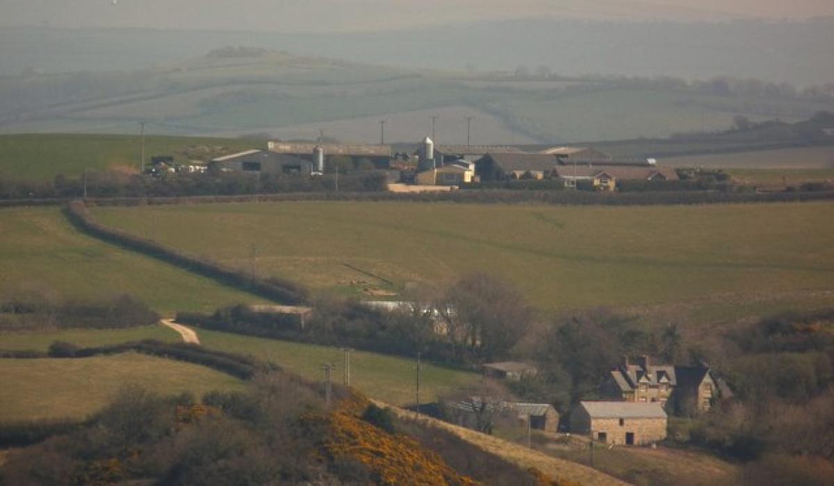 What is the State of the Farming Industry in Northern Devon? - Tim ...