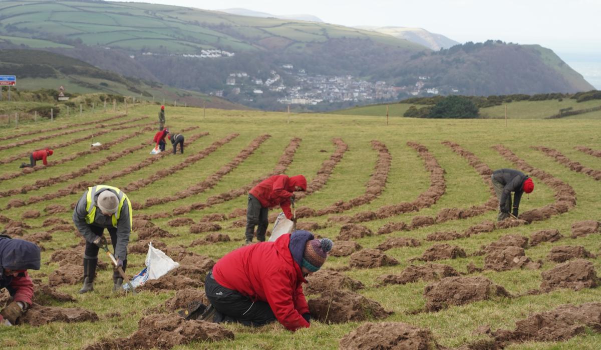 National Trust volunteers plant 1400 trees in successful 'Moor to Moor ...