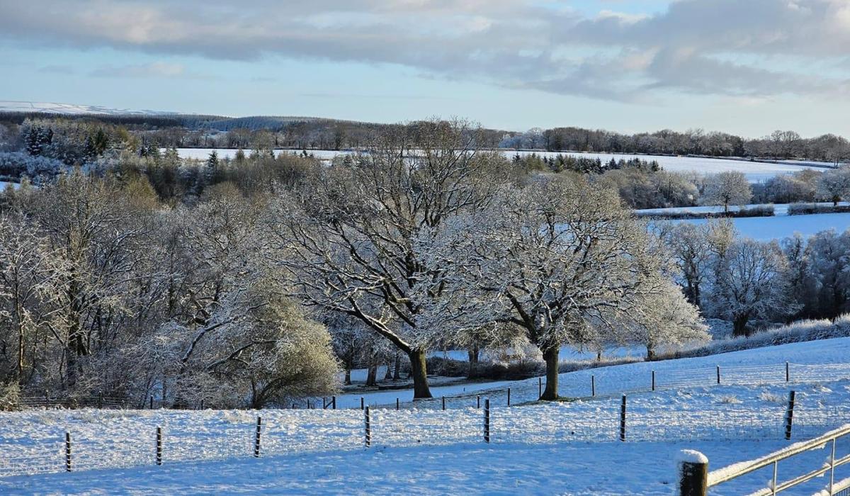 Snowfall surprises North Devon residents - North Devon Today