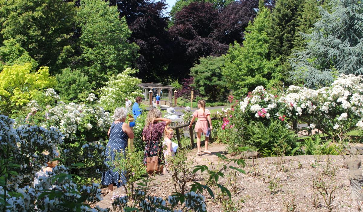 North Devon Hospice sprouts joy with open garden event - North Devon Today