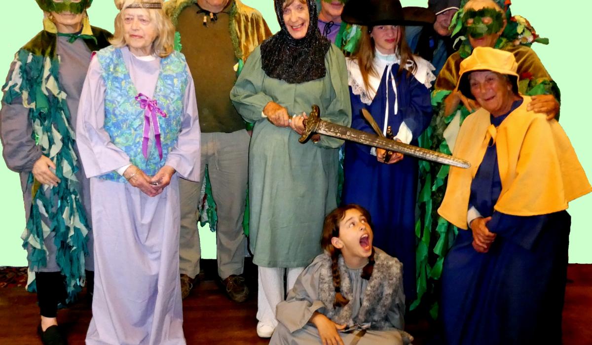 Pilton Panto debuts at Barnstaple Fringe Theatrefest - North Devon Today