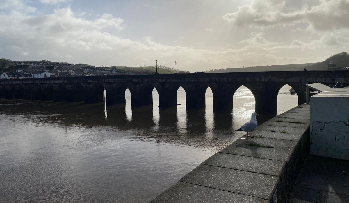 Seaweed could be the answer to boosting Bideford Harbour - North Devon Today