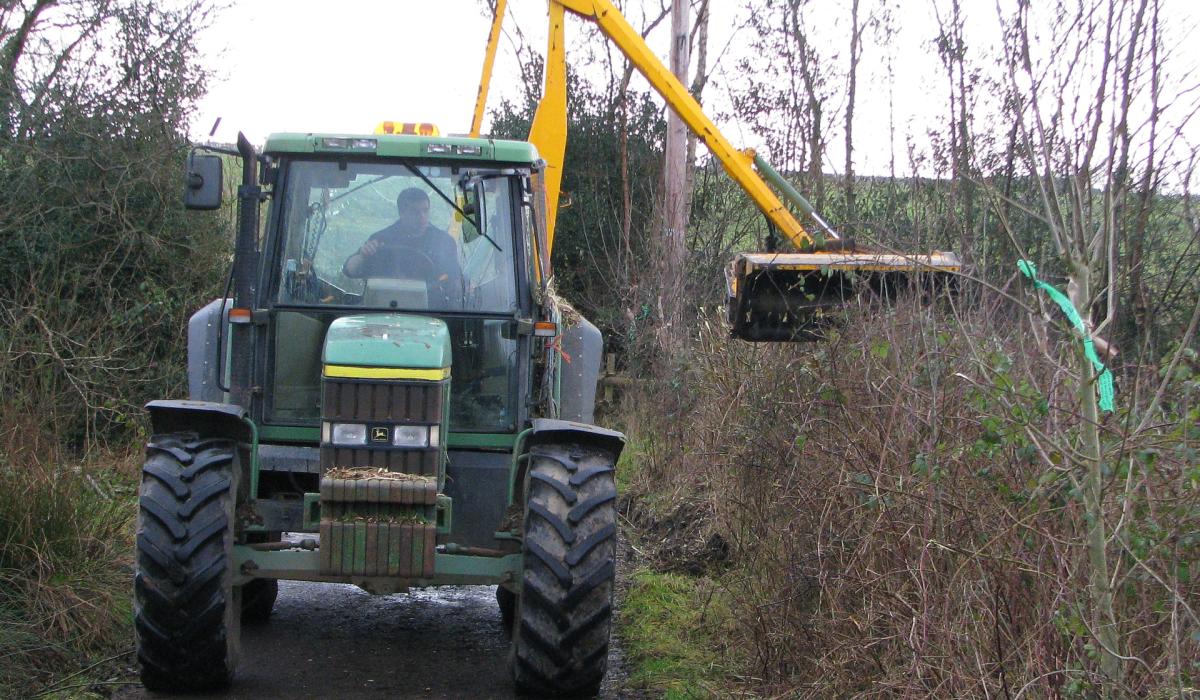 Devon Hedge Award now open for entries - North Devon Today