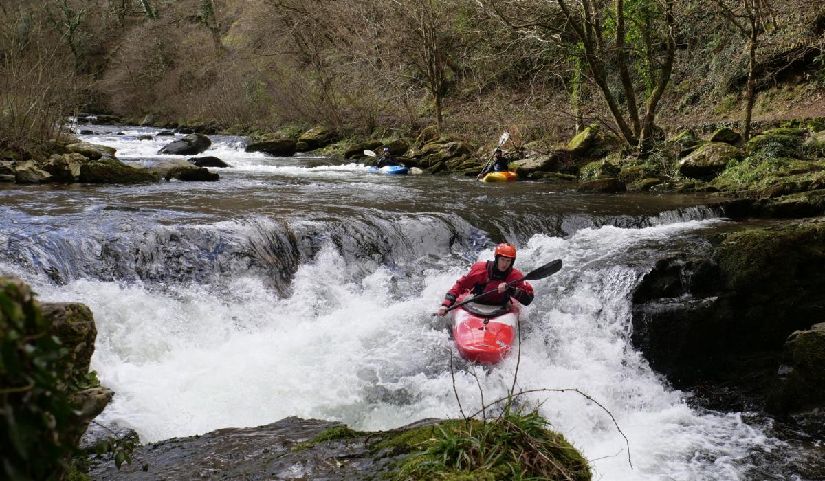National Trust celebrates 130 years with bold plan to tackle nature ...