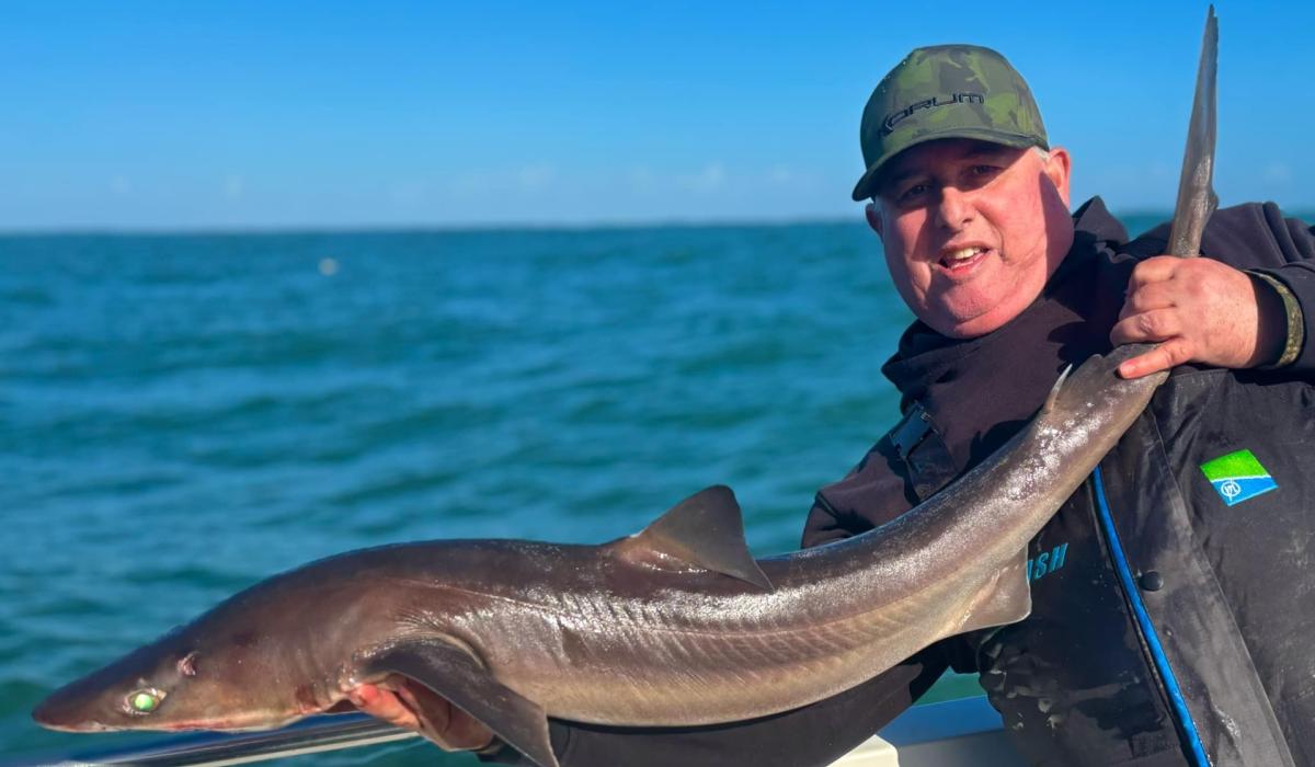 Spectacular Spurdog for North Devon angler - North Devon Today