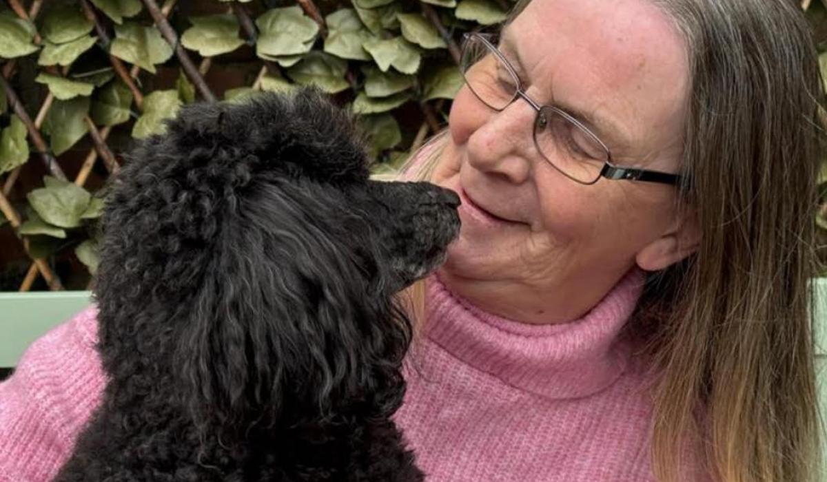 Barking Barnstaple poodle cured after three-month walkies ban - North Devon Today