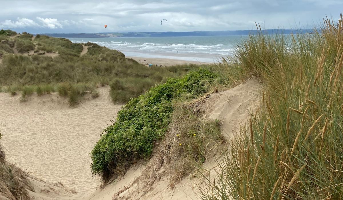 Campaigners raise the cash to mount legal bid against controversial ...