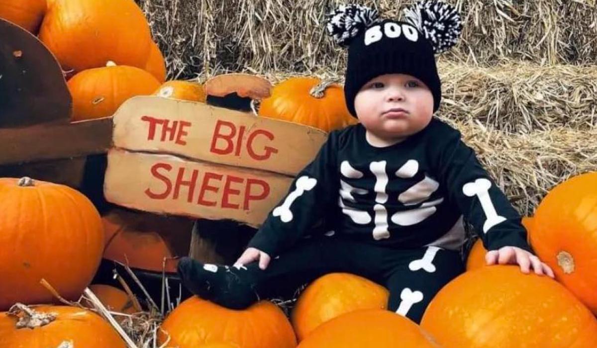 Halloween fun for all ages in North Devon this October half term - North Devon Today