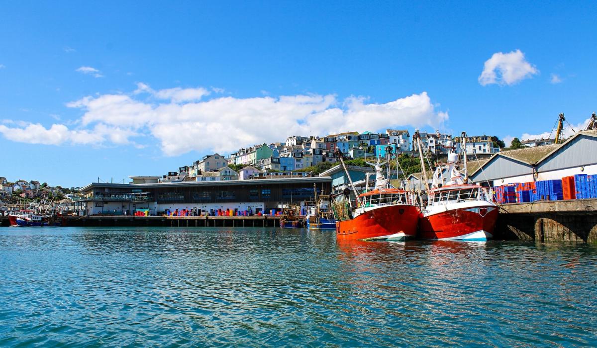 Brixham town centre and harbour regeneration plans announced - North ...