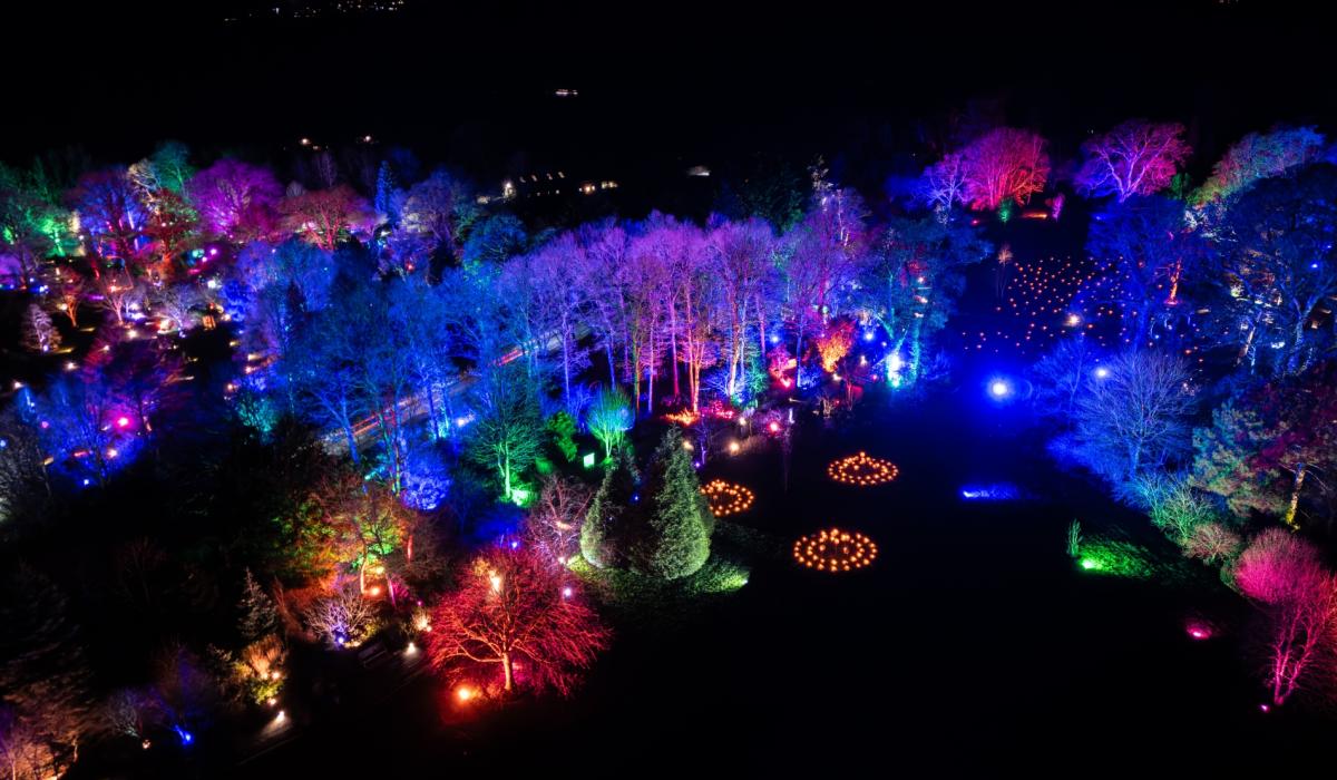 Stunning winter illuminations return to popular Torrington attraction - North Devon Today