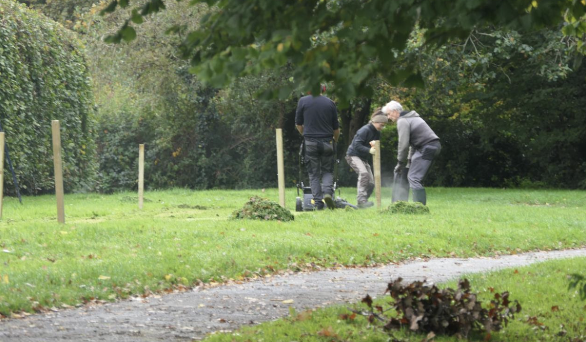New wildlife meadows bring colour and nature to Ivybridge’s greenspaces ...