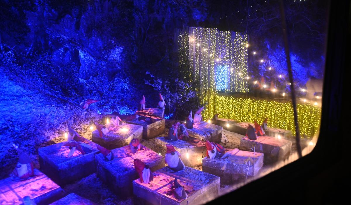 Inside South Devon’s most magical Christmas train - Photo 1 of 5 - North Devon Today