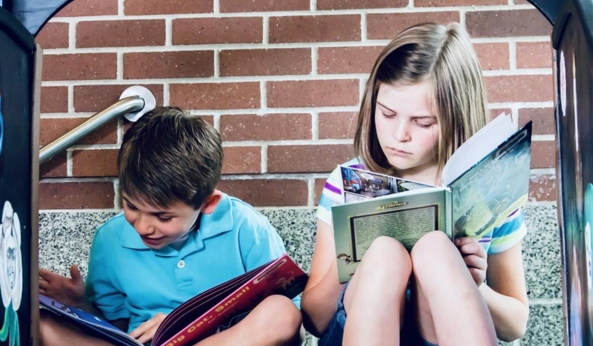 Torquay Library to celebrate World Book Day with free books and visit ...