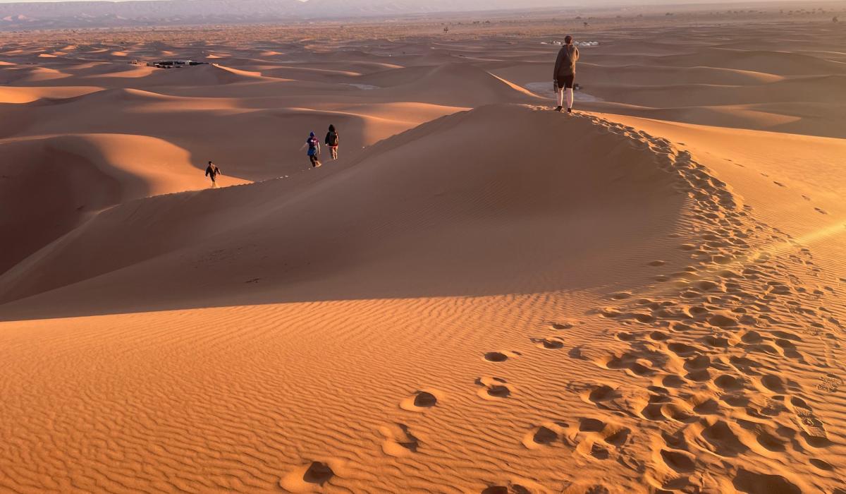 Rowcroft Hospice invites adventurers to trek the Sahara in 2027 - North ...