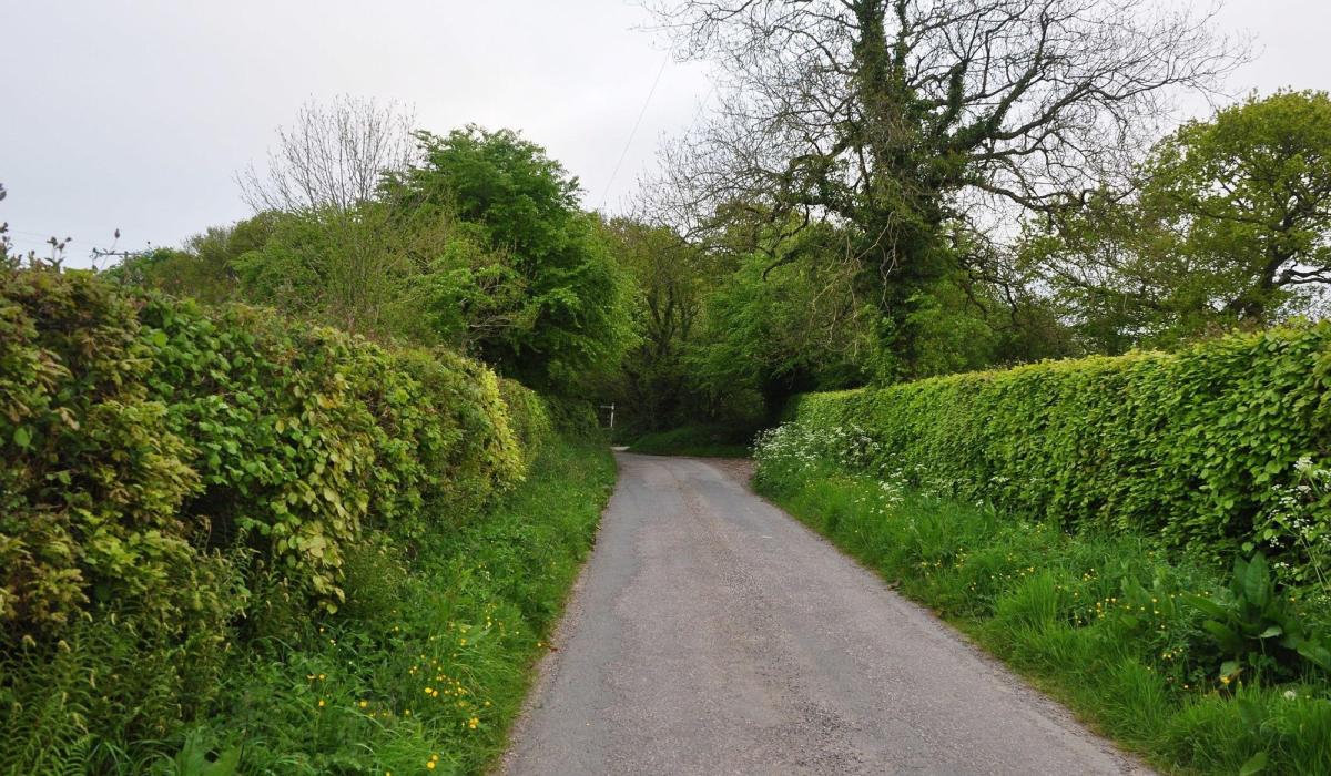 A guide for grockles moving to North Devon - Simon Smith - North Devon ...