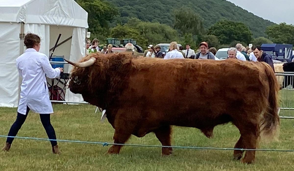 North Devon Show shows the area at its best - David Worden - North ...