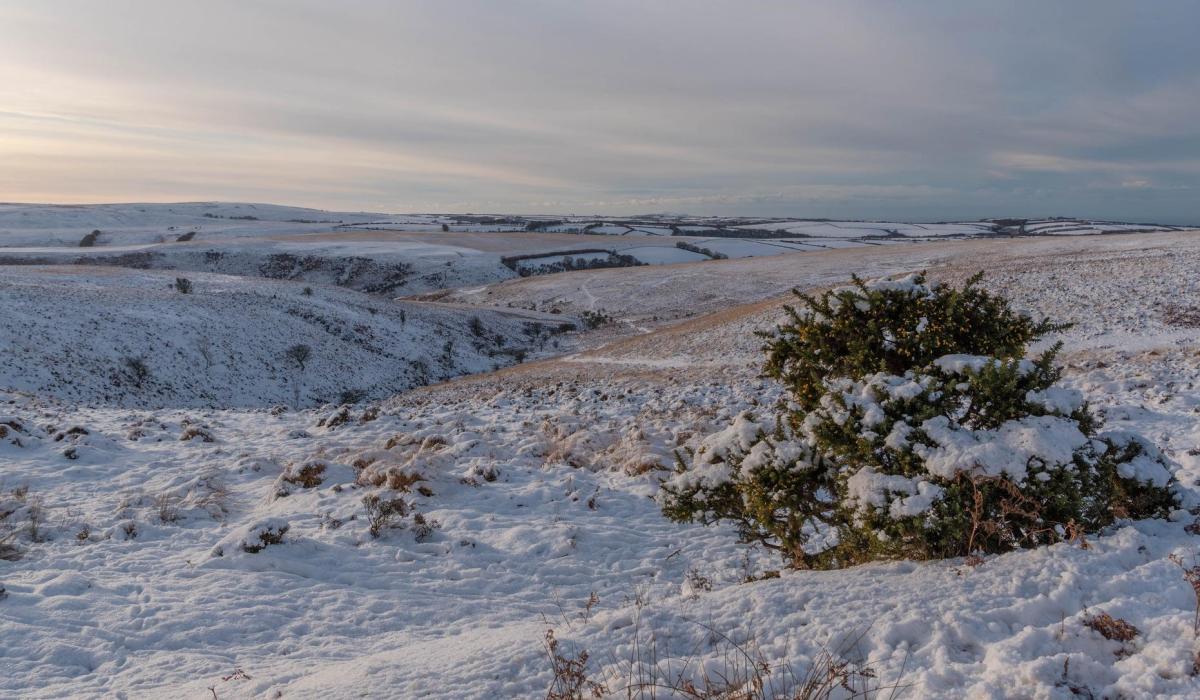 May I wish North Devon a happy and prosperous New Year - David Worden ...