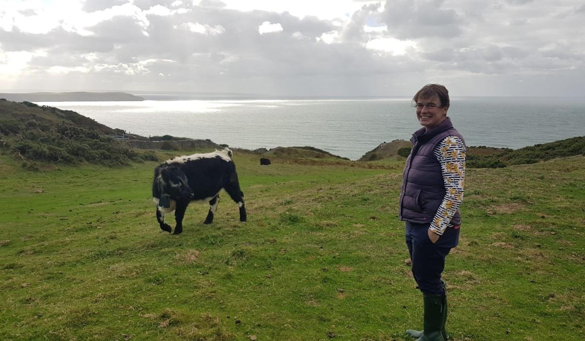 North Devon to benefit from £1 million of new funding from Rural ...