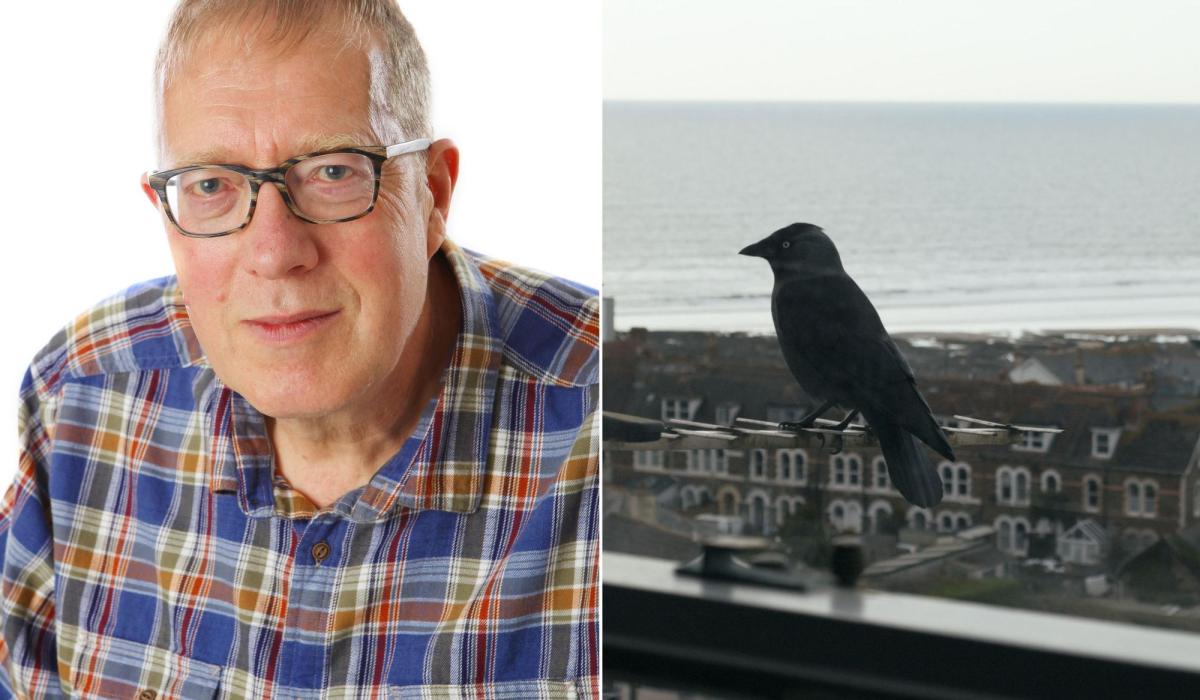 Westward Ho! author launches 'poignant and insightful' debut novel The ...