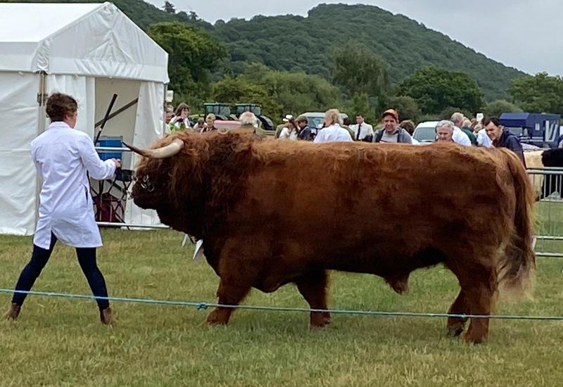 North Devon Show shows the area at its best - David Worden - North ...