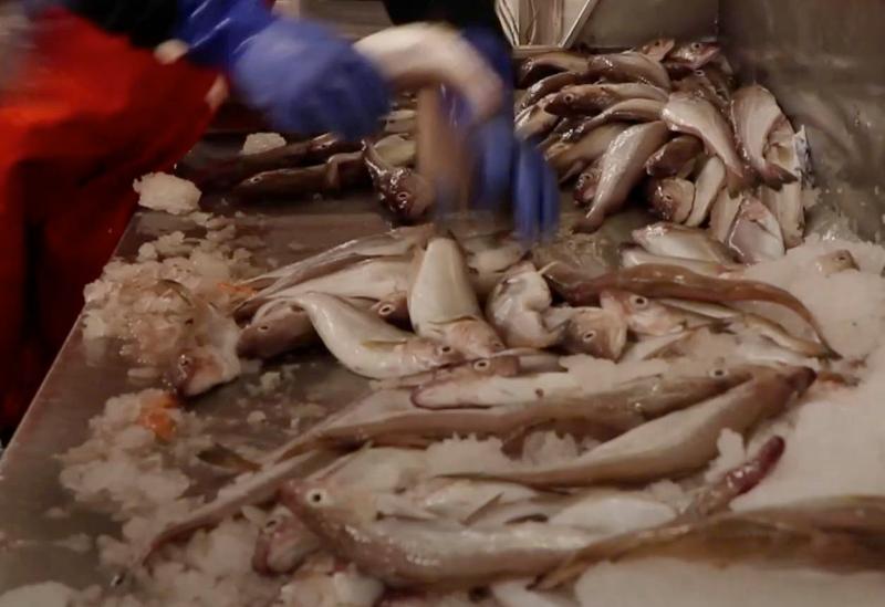 Appledore Fish Dock restaurant plans agreed 'in principle' - North ...