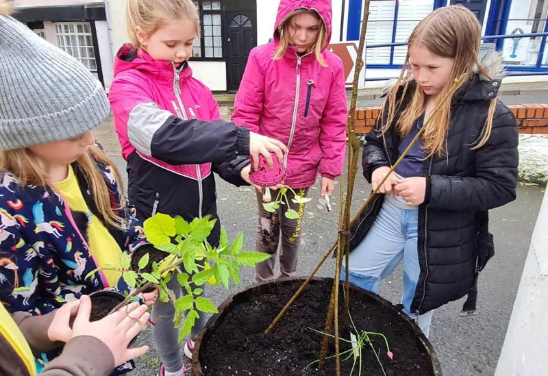 Edible food planters installed in public spaces in Ilfracombe - North ...