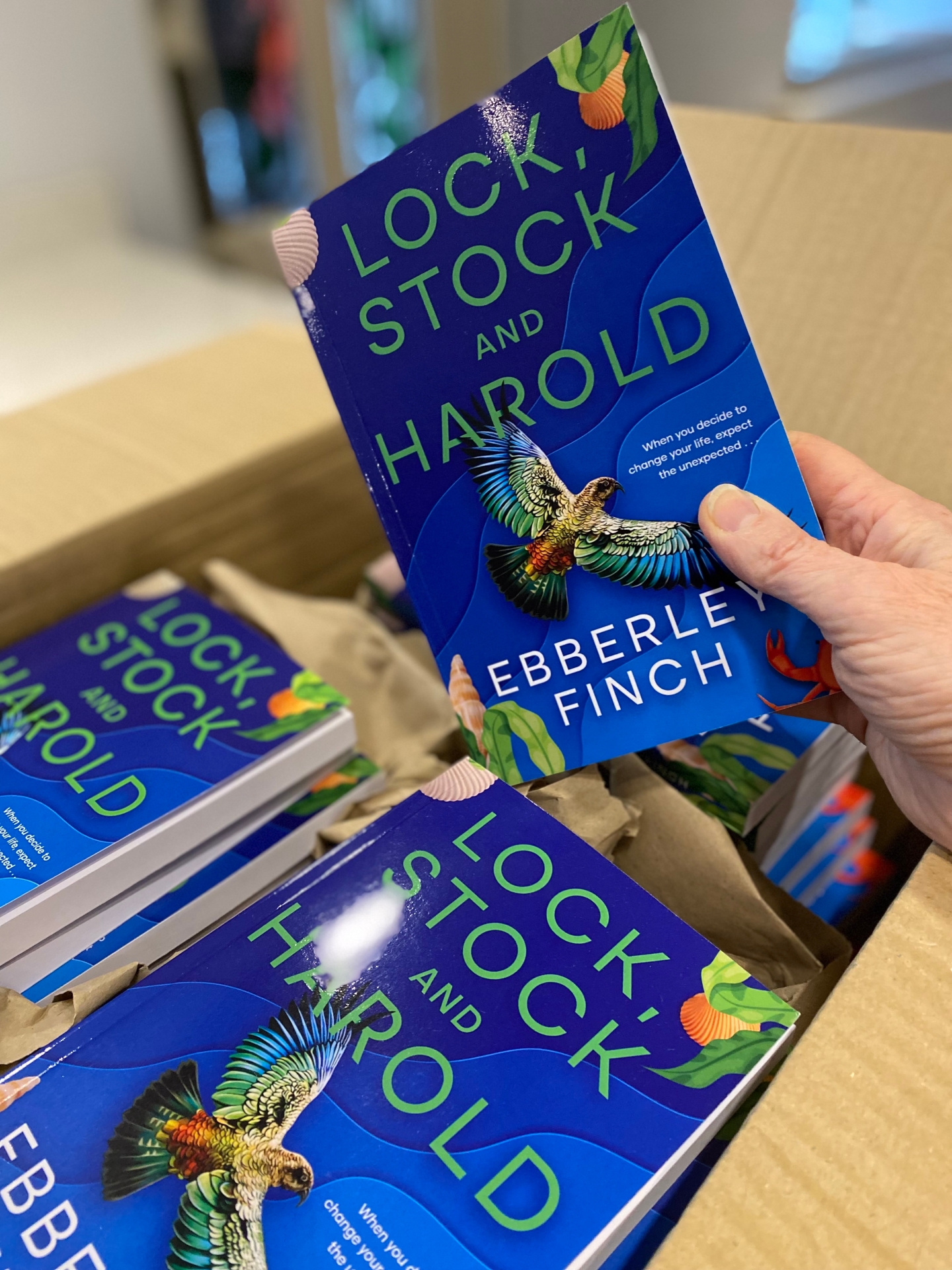 Heart-warming debut novel has humour, Appledore and a parrot - North ...