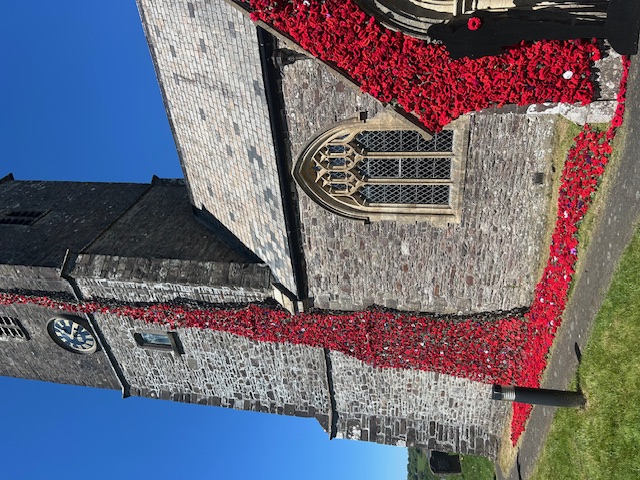 Avalanche of knitted poppies adorns North Devon church for VE Day 80 ...