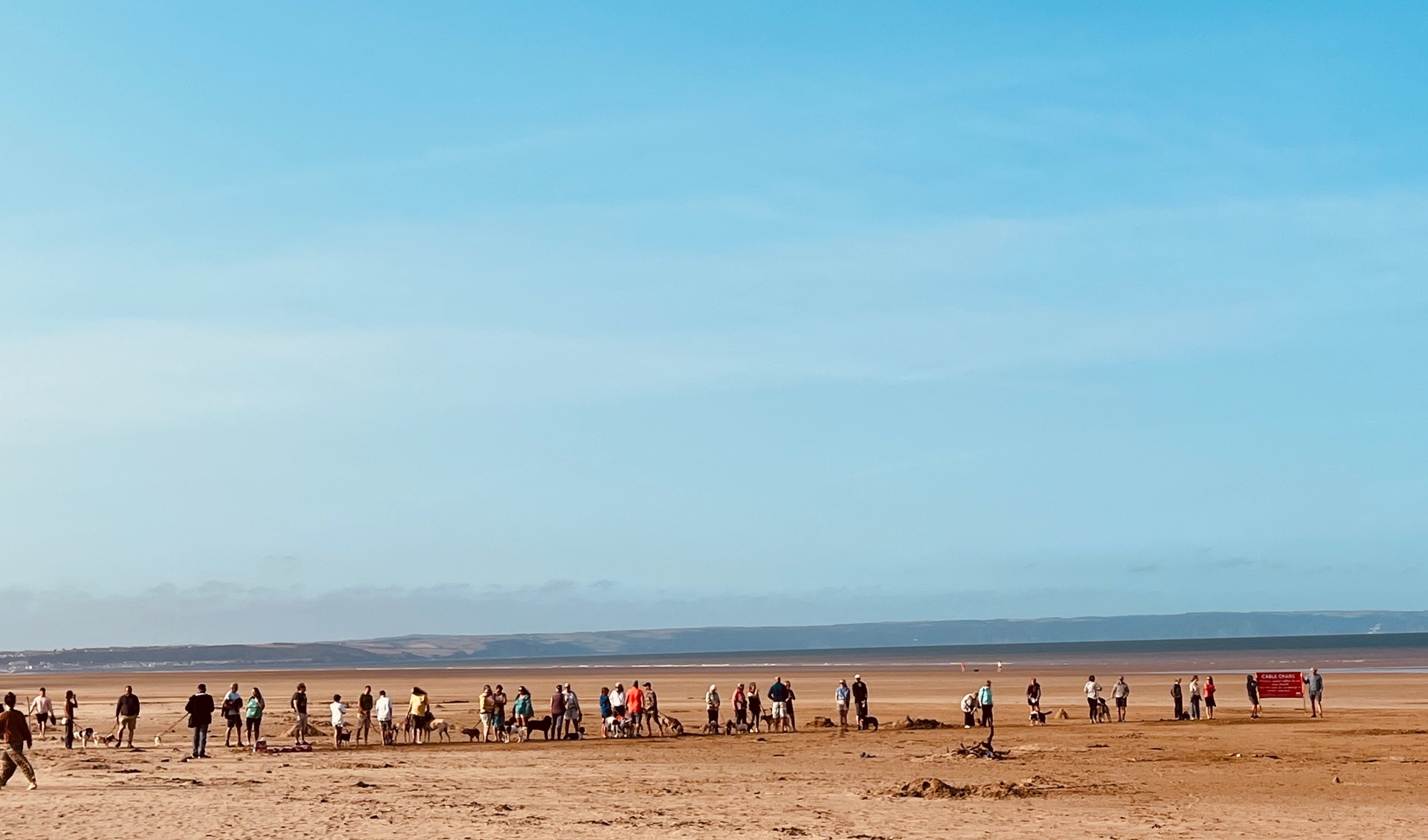 Underdogs hope bite is worse than bark to prevent controversial cables plan - North Devon Today