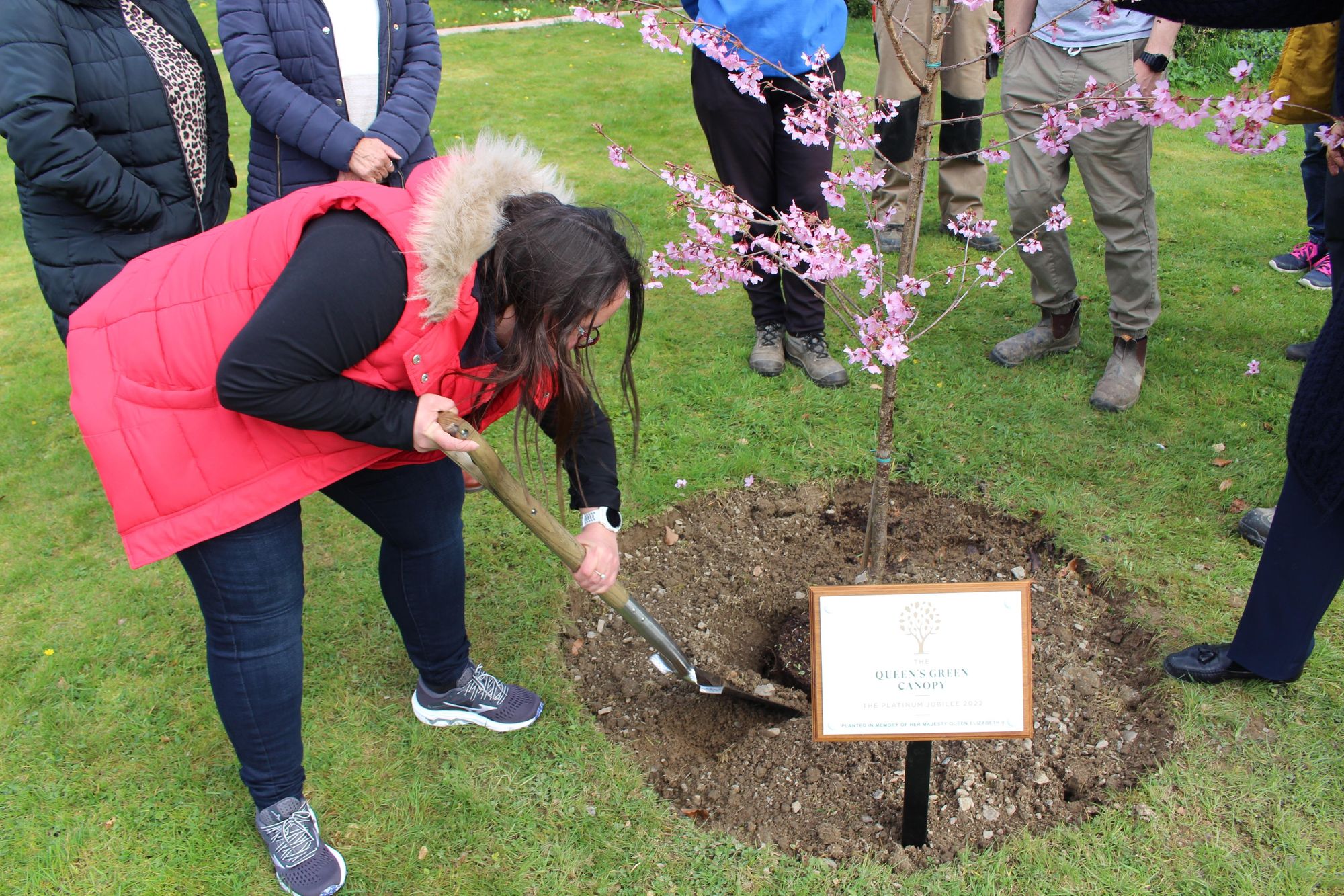 Hero Jade plants tree at hospice in memory of Her Majesty - North Devon ...